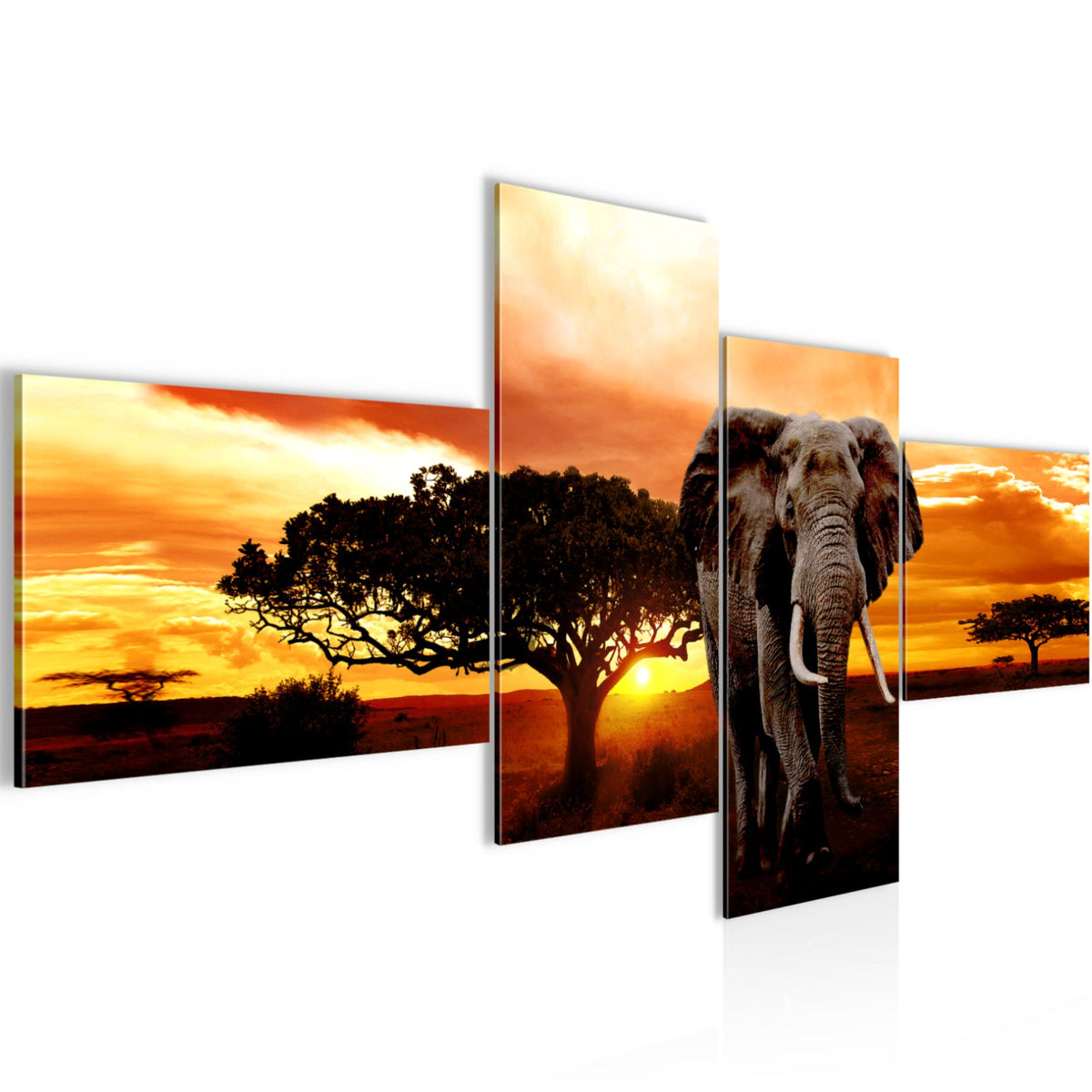 Wandbilder Afrika Elefant Modern Wohnzimmer Schlafzimmer Bild Deko Mot ...